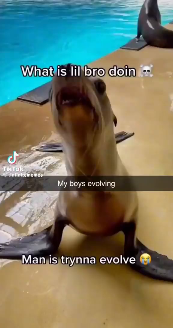 What is liloro doin * TikTok ifinitememes My boys evolving Man is ...