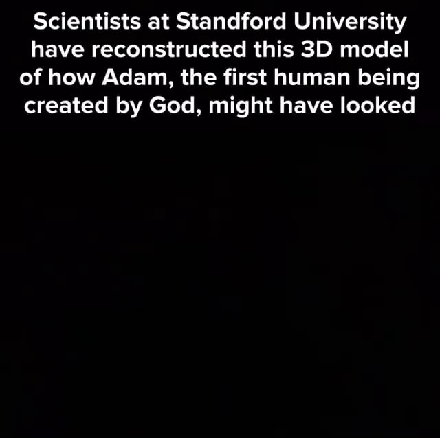 Scientists at Standford University have reconstructed this model of how ...