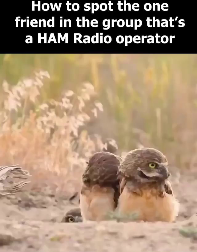How to spot the one friend in the group that's a HAM Radio operator ...