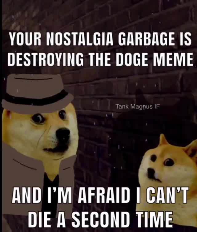 YOUR NOSTALGIA GARBAGE IS DESTROYING THE DOGE MEME AND I'M AFEMI] I CAN ...