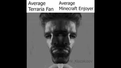 Average Terraria Fan Minecraft Enjoyer - iFunny