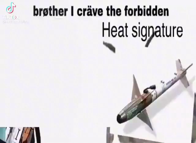 Brother I crave the forbidden Heat signature - iFunny