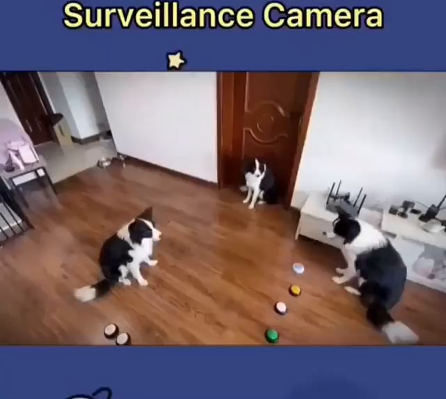 Surveillance Camera - iFunny