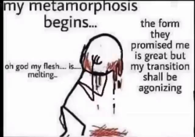 Metamorphosis begins... the form they promised me is great but my ...