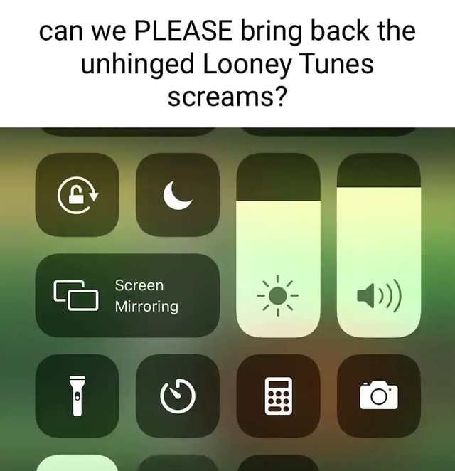 Can We Please Bring Back The Unhinged Looney Tunes Screams Screen