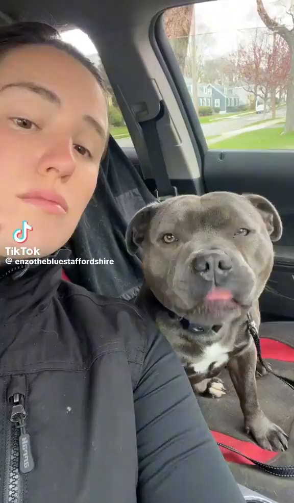 Video memes FiBJcvNKC by THE_PSYCHO_WOLF_: 4 comments - iFunny