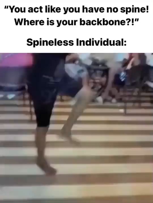 "You act like you have no spine! Where is your backbone?!" Spineless ...