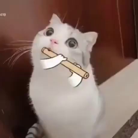 Flute cat - iFunny