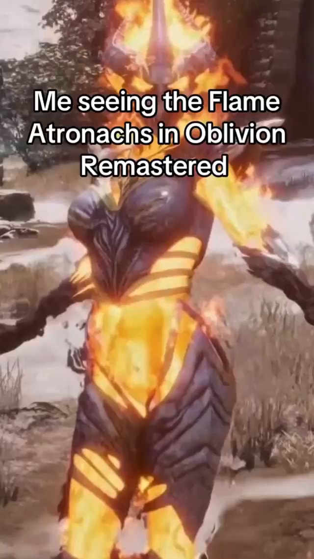 Me seeing the Flame Atronachs in Oblivion Remastered - iFunny