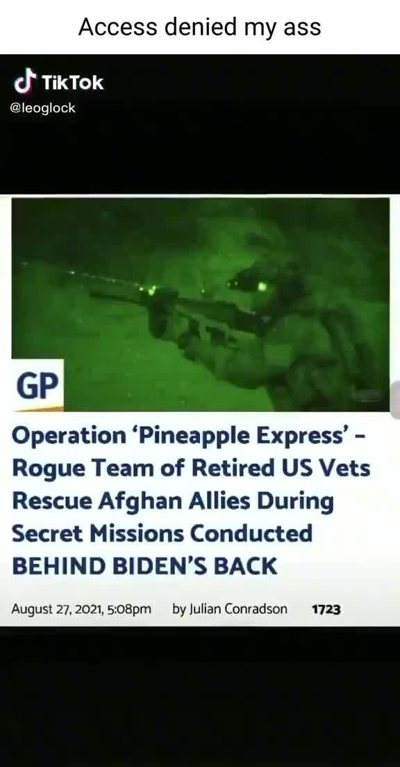 Access denied my ass TikTok @leoglock GP Operation 'Pineapple Express ...