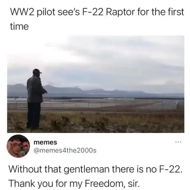 Pilot see's F-22 Raptor for the first time memes Without that gentleman ...