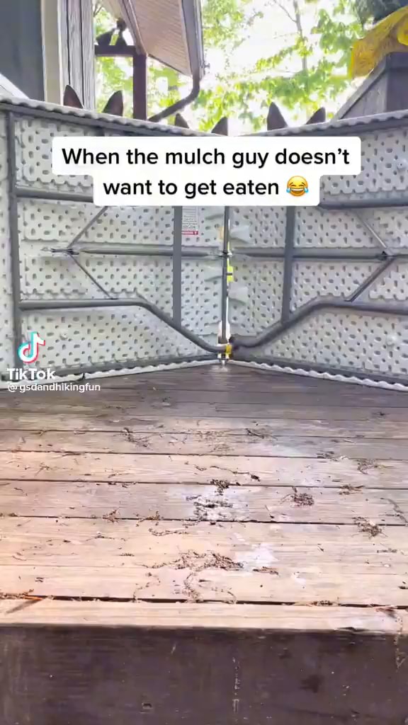 When the mulch guy doesn't of eaten TikTok - iFunny