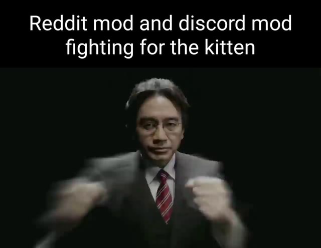 Reddit mod and discord mod fighting for the kitten - iFunny