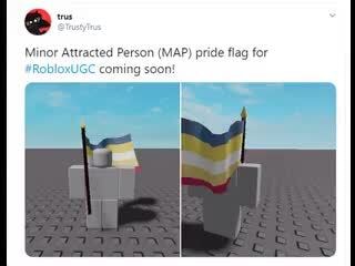 Minor Attracted Person (MAP) pride flag for RobloxUGC coming soon! - iFunny