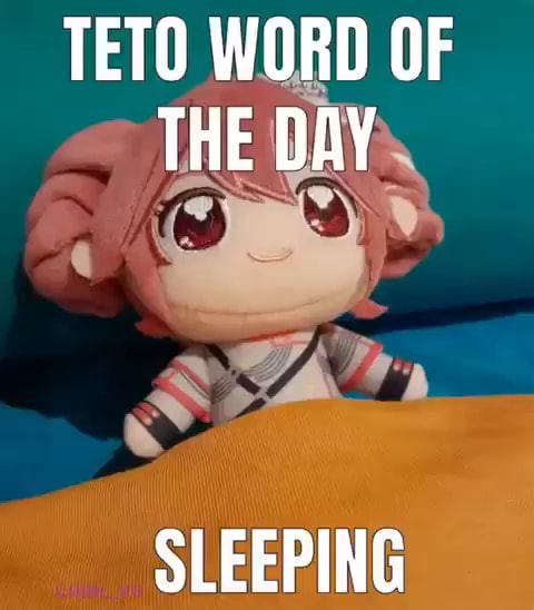 TETO WORD OF THE DAY ry Y SLEEPING - iFunny