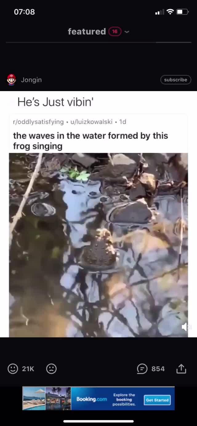 Hamon Frog - featured wy Jongin subscribe He's Just vibin' the waves in ...