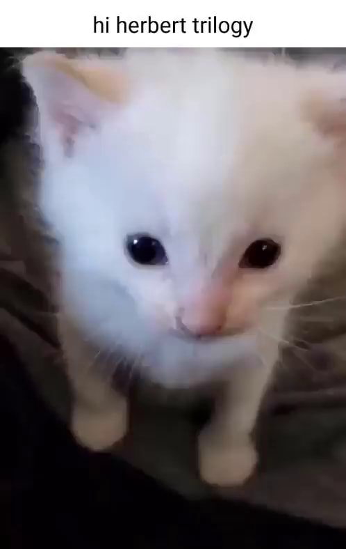 Hi herbert trilogy - iFunny