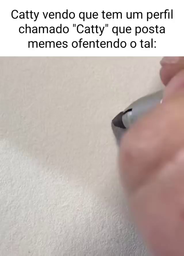 Catty vendo que tem um perfil chamado "Catty" que posta memes ofentendo ...