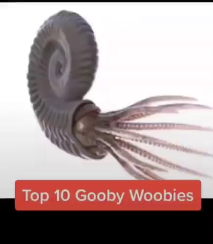ASE Top 10 Goolby Woobies - iFunny