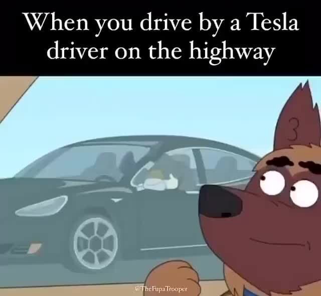 When you drive by a Tesla driver on the highway - iFunny