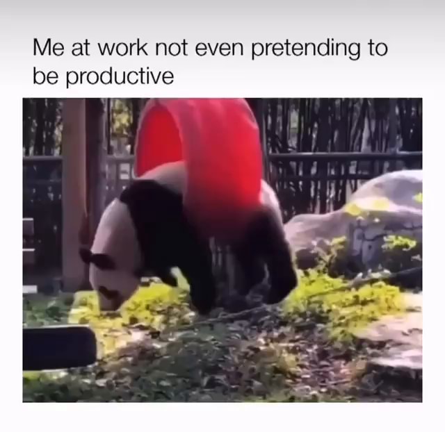 Me at work not even pretending to be productive - iFunny