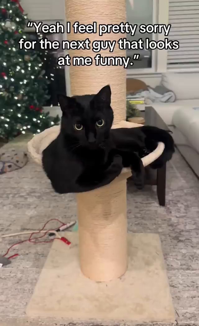 "Yeah I feel pretty sorry for the next guy that looks at me funny ...