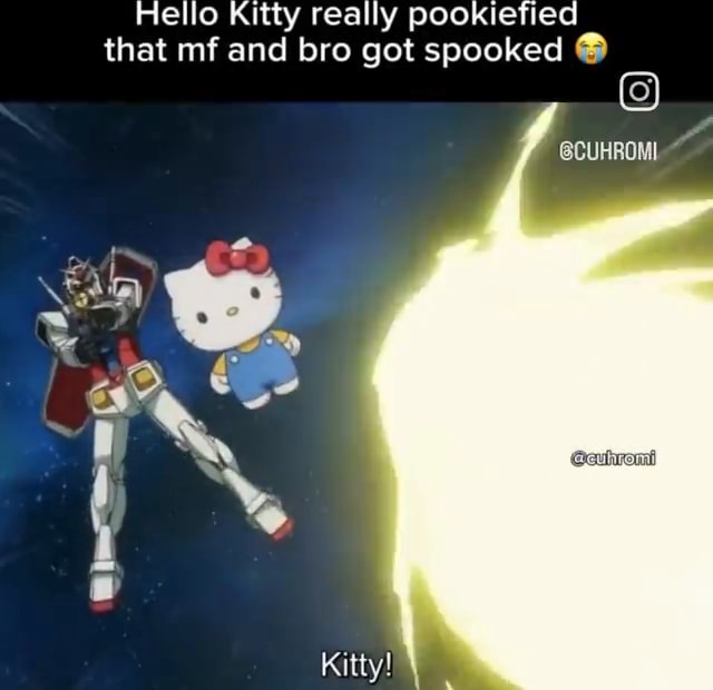 Hello Kitty really pookiefied that mf and bro got spooked - iFunny