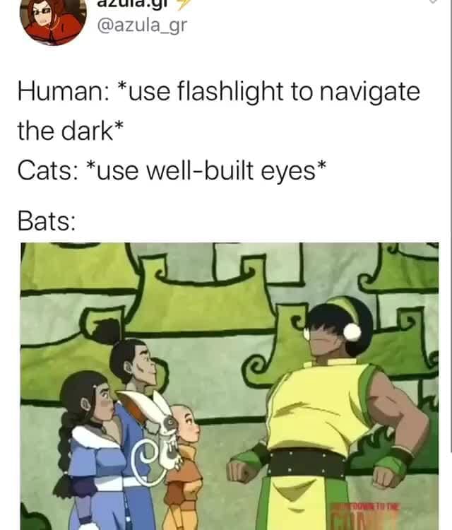 Human: *use flashlight to navigate the dark* Cats: *use well-built eyes ...