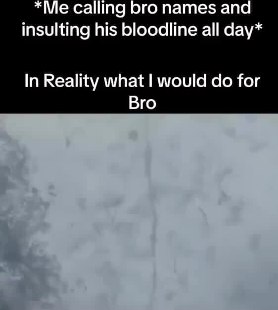 *Me calling bro names and insulting his bloodline all day* In Reality ...