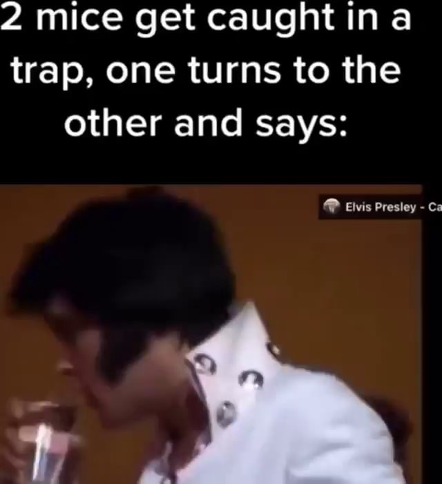 2 mice get caught ina trap, one turns to the other and says: @ Elvis ...