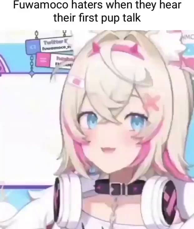 Fuwamoco haters when they hear their first pup talk te - iFunny
