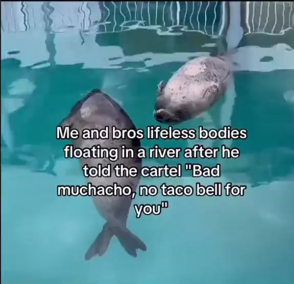 Wie and bros lifeless bodies floating ina river atter he toid the ...