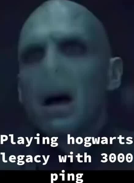 Playing hogwarts legacy with 3000 ping - iFunny