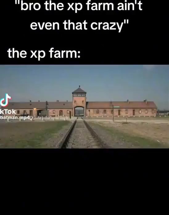 Bro the xp farm ain't even that crazy" the xp farm: - iFunny