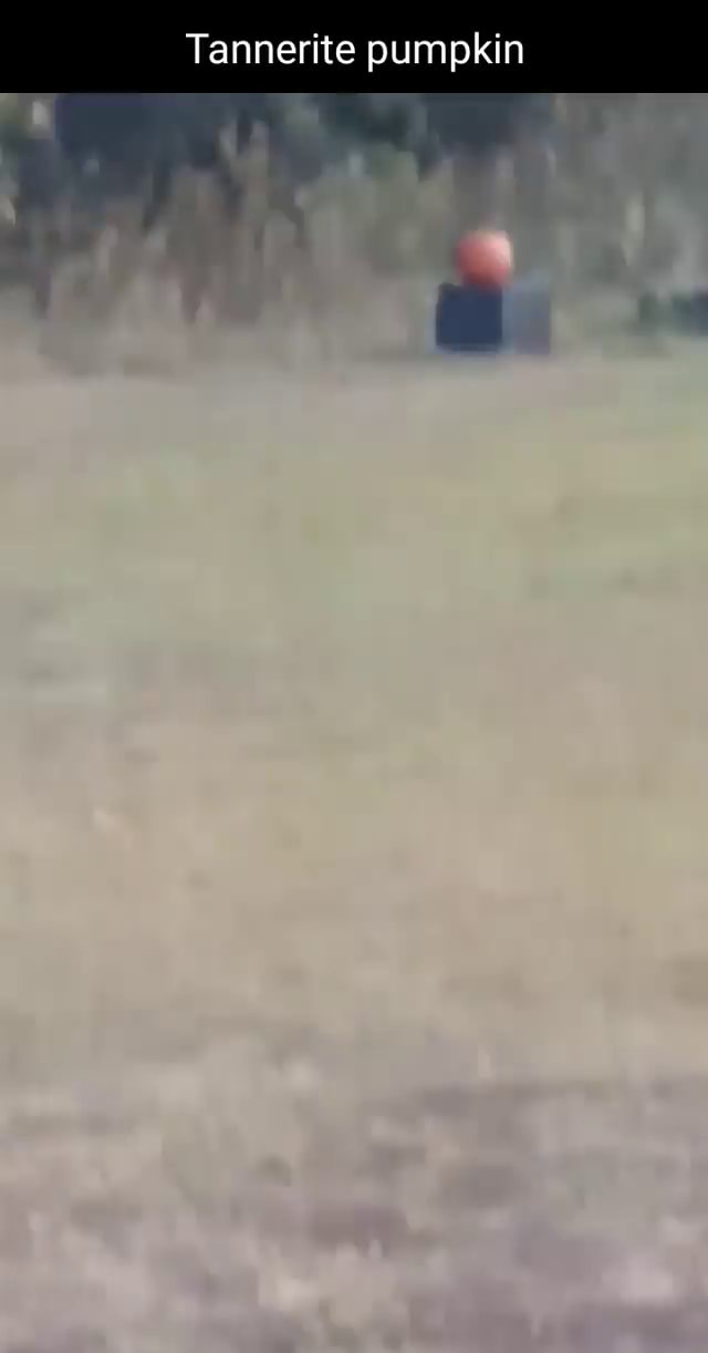 Tannerite pumpkin - iFunny