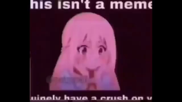 Nis isnt meme - iFunny