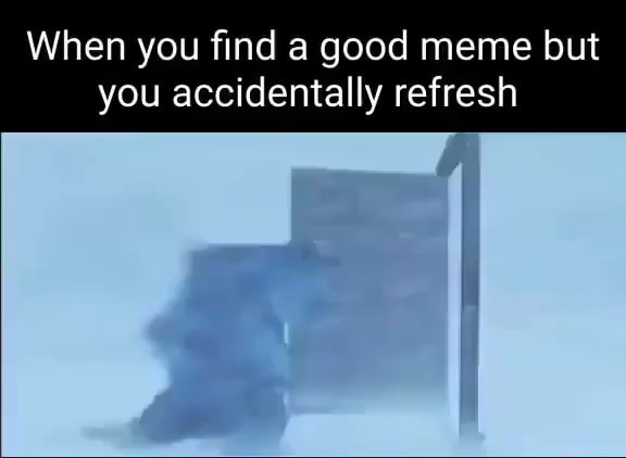 When you find a good meme but you accidentally refresh - iFunny