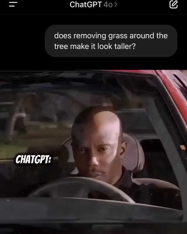 ChatGPT does removing grass around the tree make it look taller? - iFunny