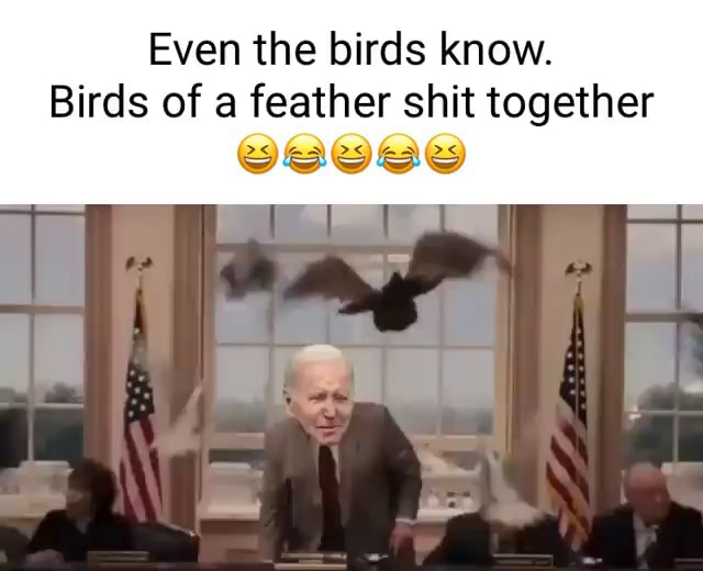 Even the birds know. Birds of a feather shit together - iFunny
