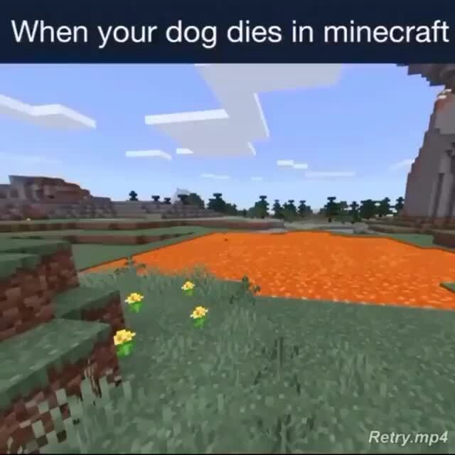 Can relate to this one - When your dog dies in minecraft - iFunny