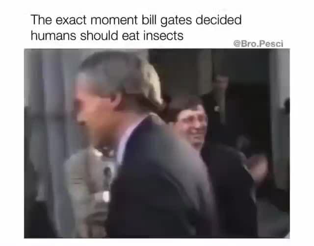 The exact moment bill gates decided humans should eat insects @Bro ...