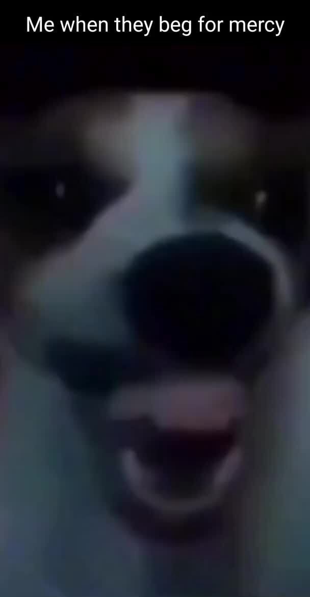 Me when they beg for mercy - iFunny