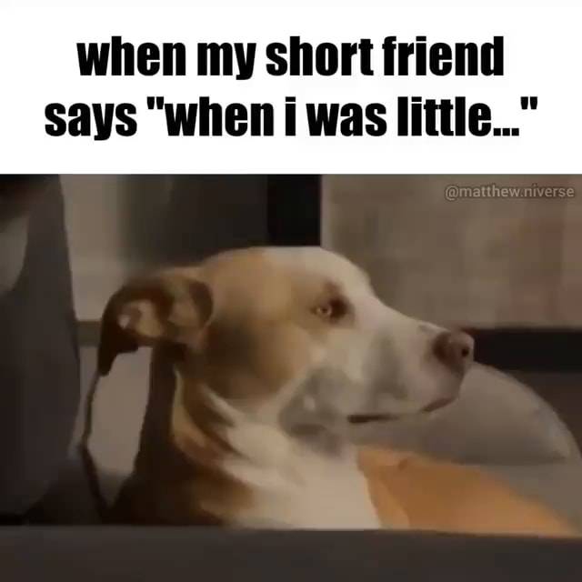 When my short friend says "when was little..." - iFunny