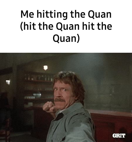 Me hitting the Quan (hit the Quan hit the Quan) - iFunny