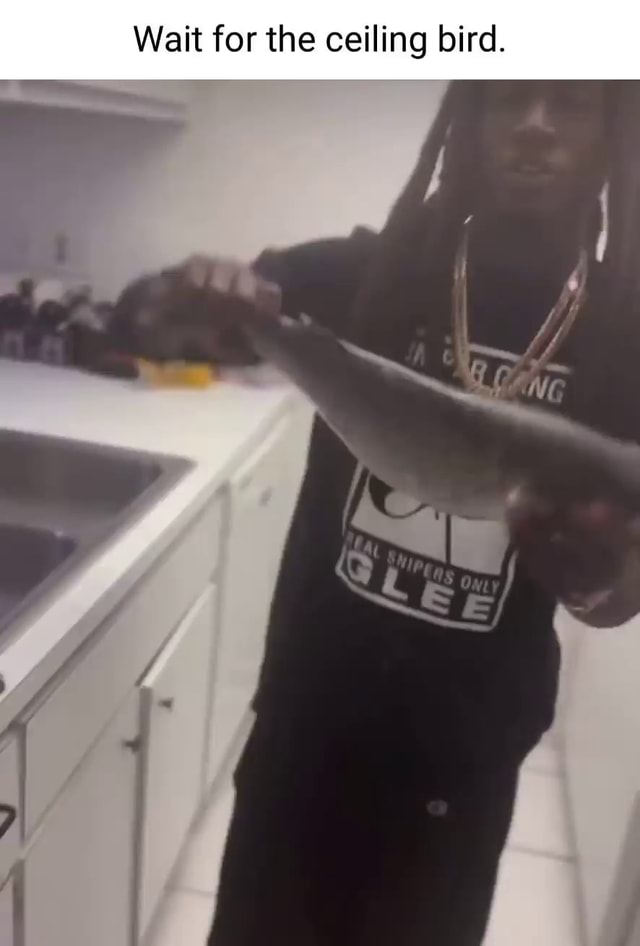 Wait for the ceiling bird. - iFunny