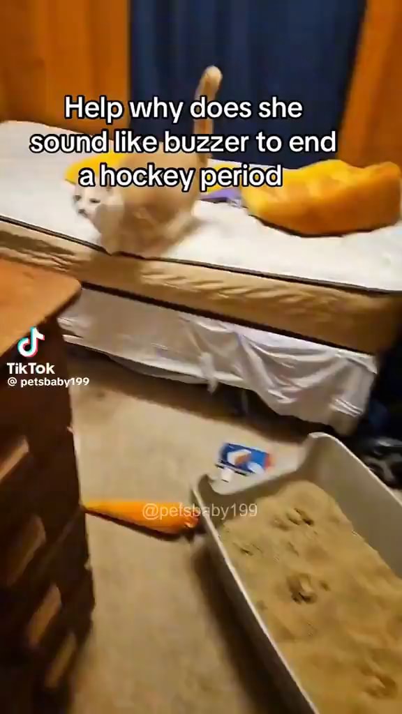 Help why de does she sound like buzzer to end a hockey period Tik Tok ...