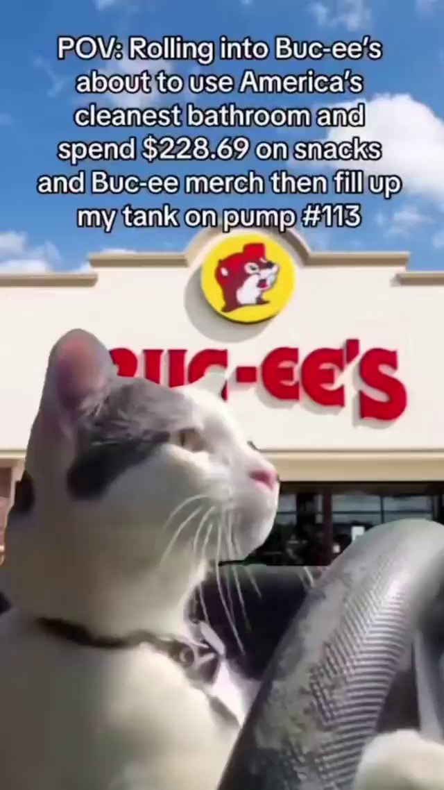 Into Buc-ee's about America's cleanest bathroom 'and spend $228.69 on ...