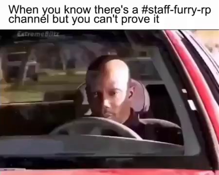 When you know there's a it -furry-rp channel but you can't prove it ...