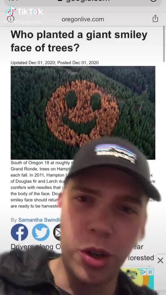 Com Who planted a giant smiley face of trees? Updated Dec 01, 2020 ...
