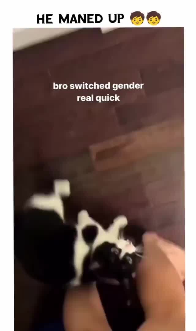 MANED UP bro switched gender real quick - iFunny